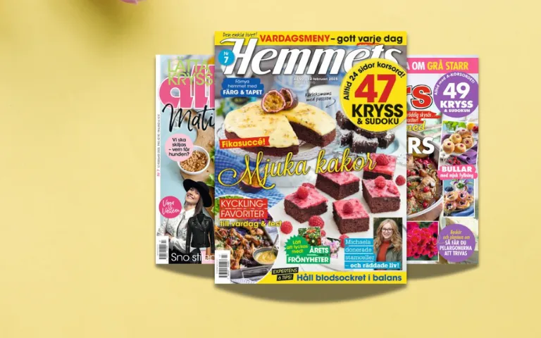 Tidningsprenumerationer på svenska & finska tidningar - LehtiTukku.fi